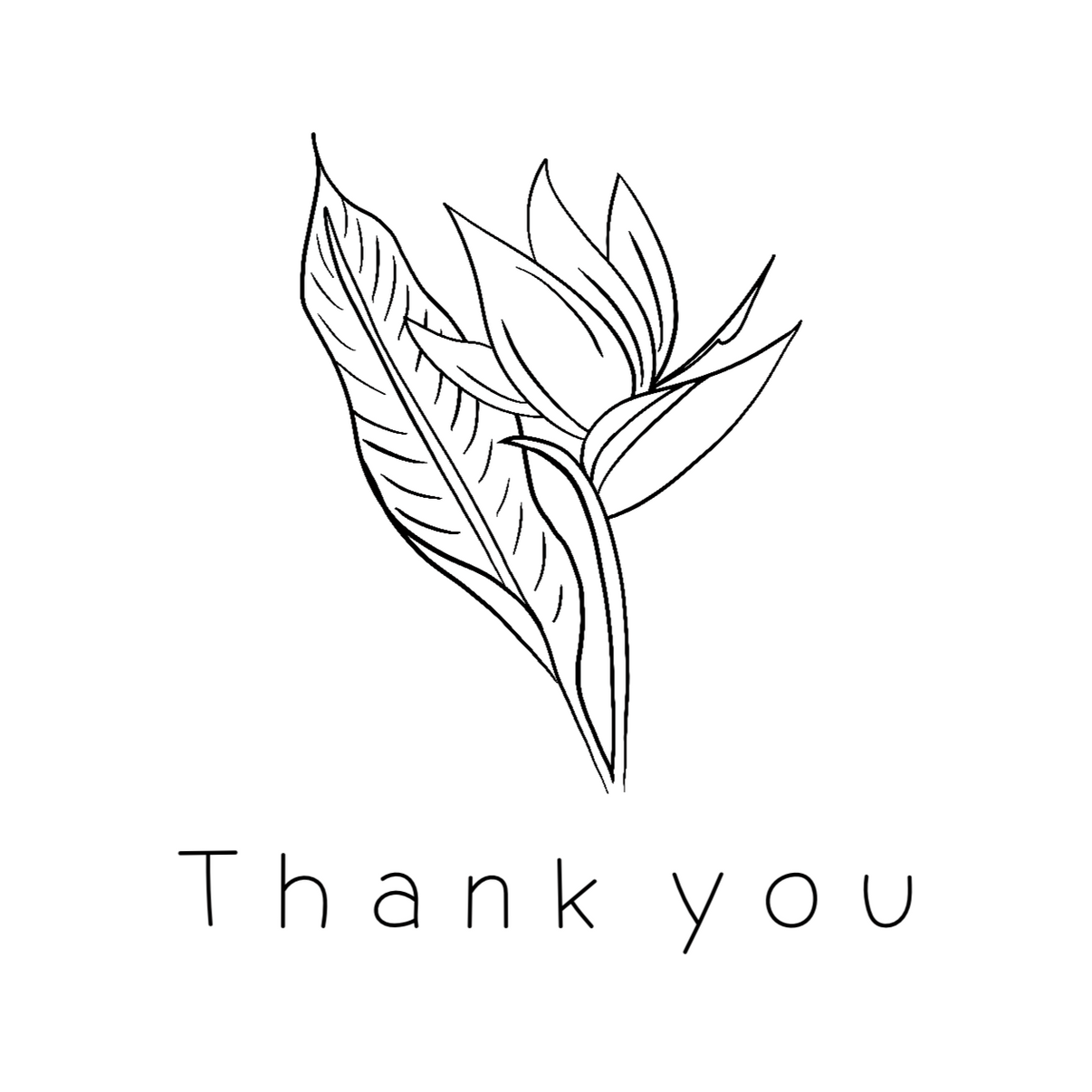 'Thank You' Card Bundle – Aloha Studio by Mary